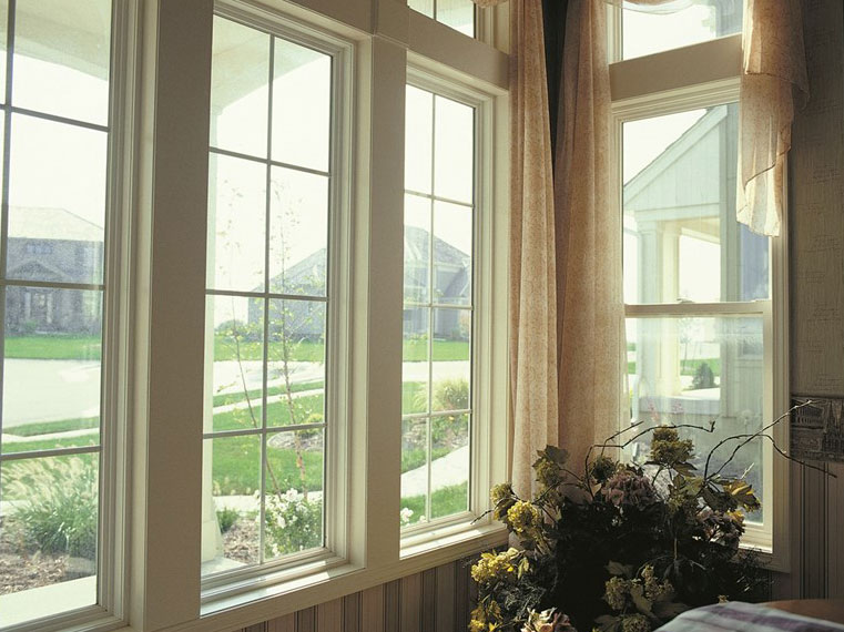 Premium Window Replacements - EcoView